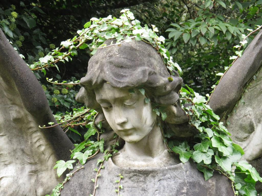 An Autumn Walk in East Finchley Cemetery | Bug Woman – Adventures in London