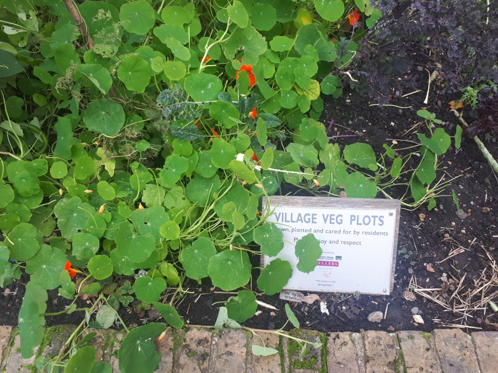 In Walthamstow…. | Bug Woman – Adventures in London