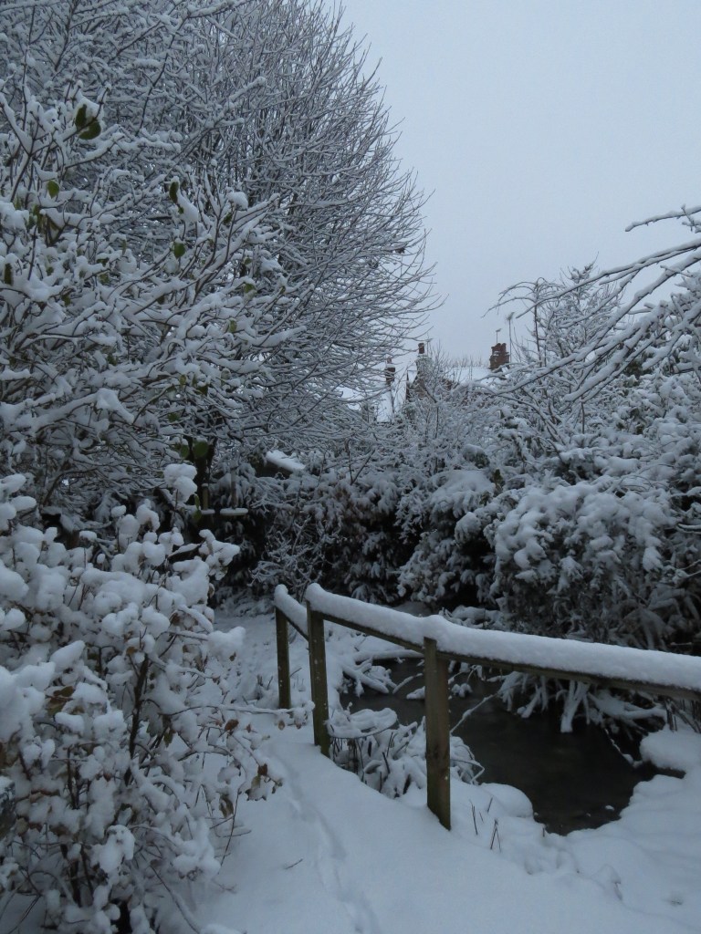 Nature’s Calendar 12th to 16th December – The Black Month Deepens | Bug ...