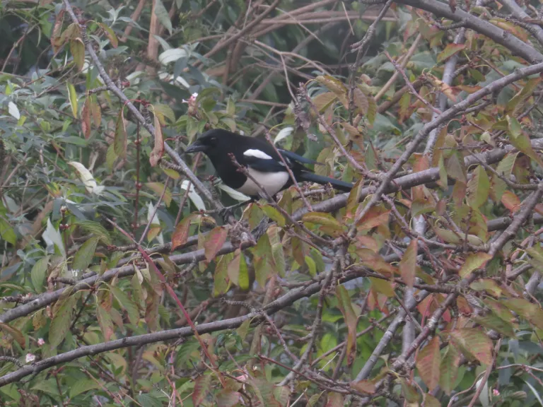 Sciencing – The Results! | Bug Woman – Adventures in London