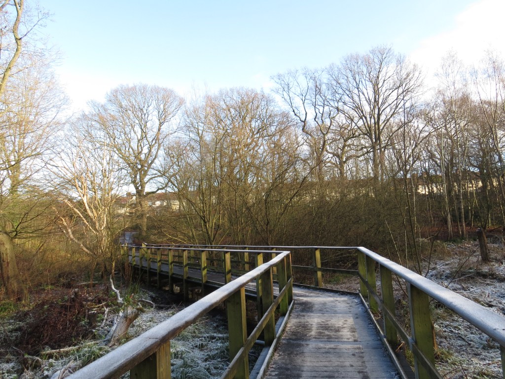 A Chilly Walk in Coldfall Wood | Bug Woman – Adventures in London