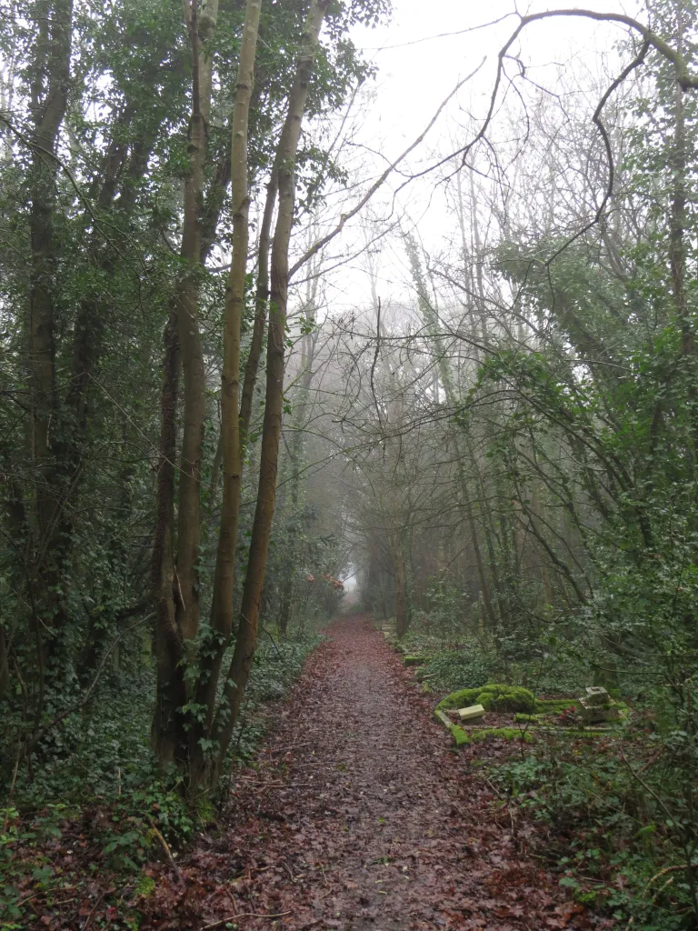 Nature’s Calendar – 7th to 11th November – Fog, Drizzle and Mist | Bug ...