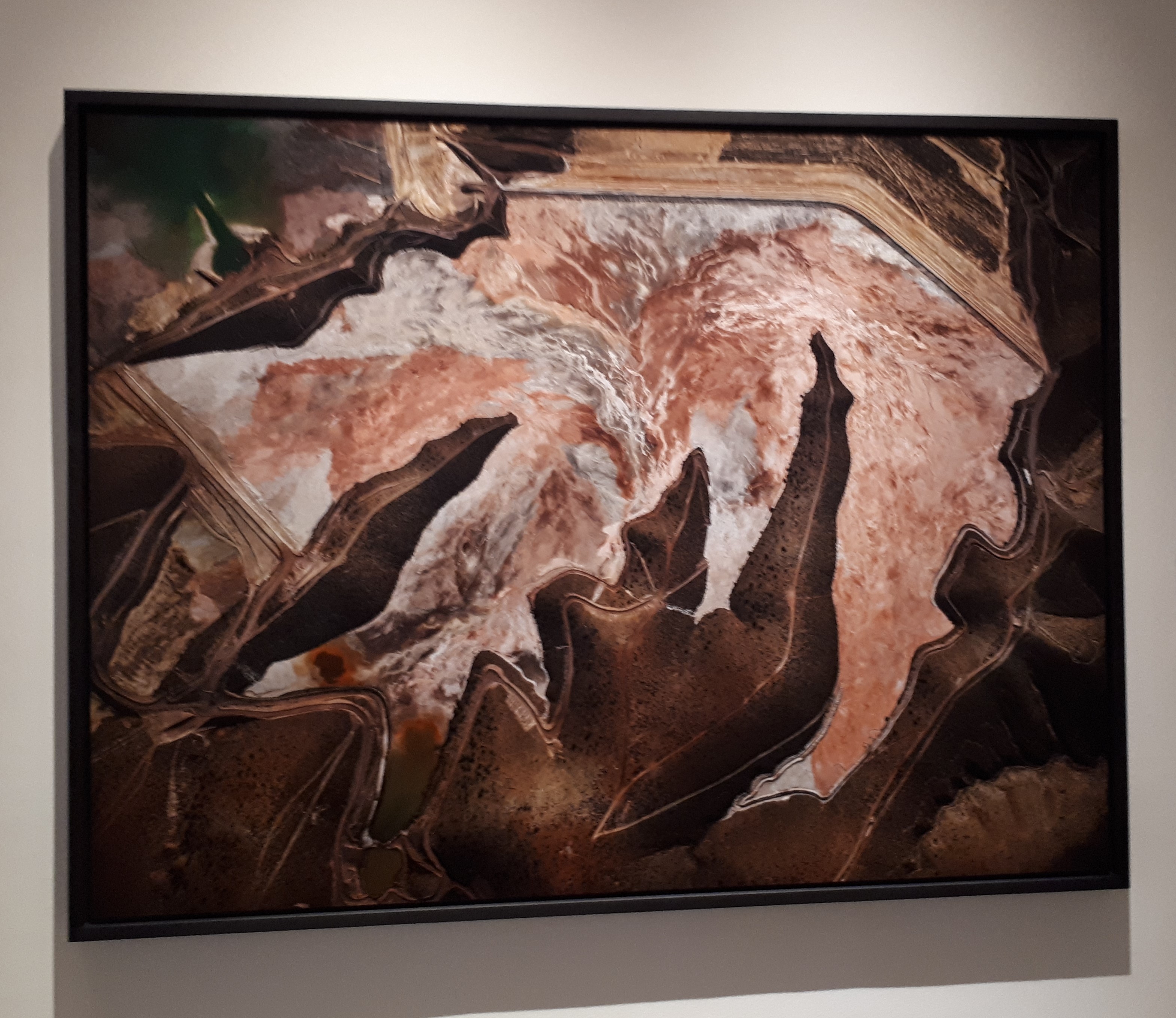 20240224_103157 | Bug Woman – Adventures in London