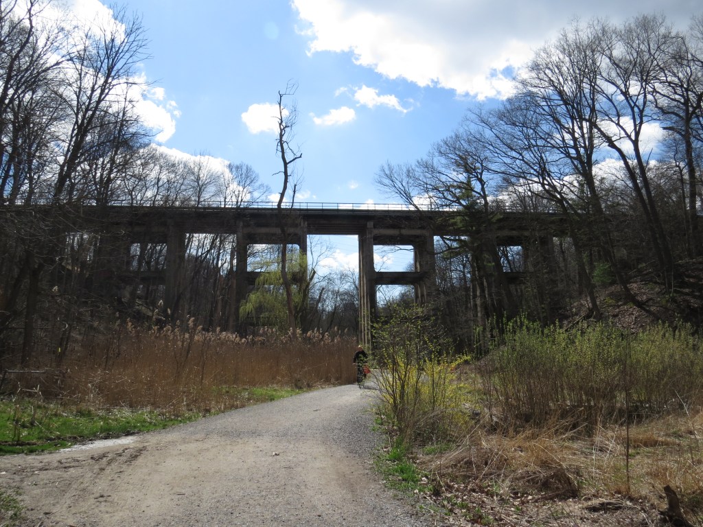 The Moore Park Ravine | Bug Woman – Adventures in London