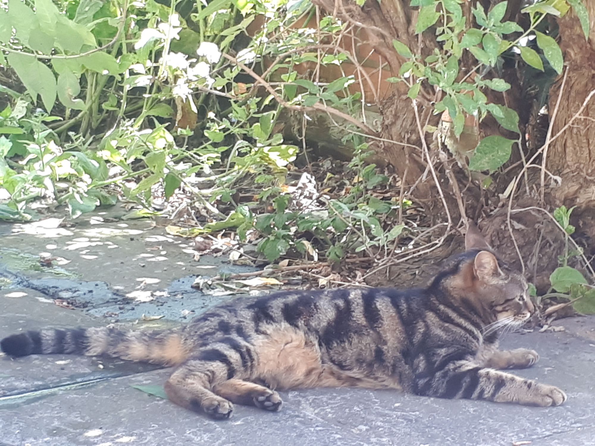 20240602_1145357539330251540187298 | Bug Woman – Adventures in London