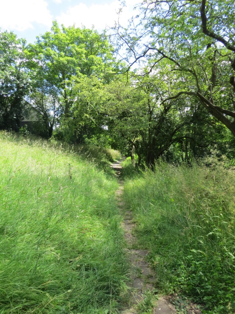 A Visit to Tunnel Gardens | Bug Woman – Adventures in London