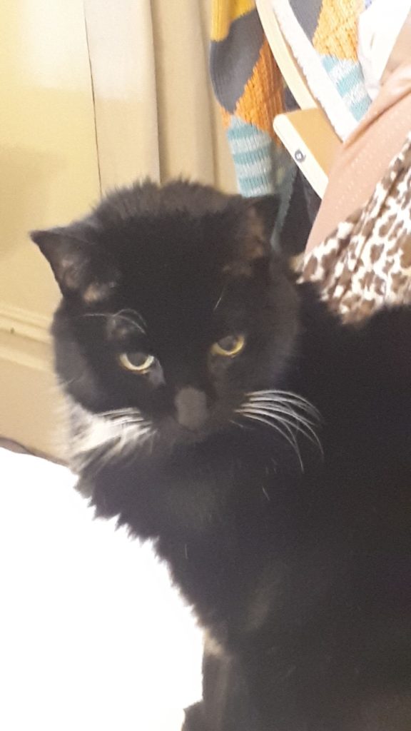 Being Helpful | Bug Woman – Adventures in London