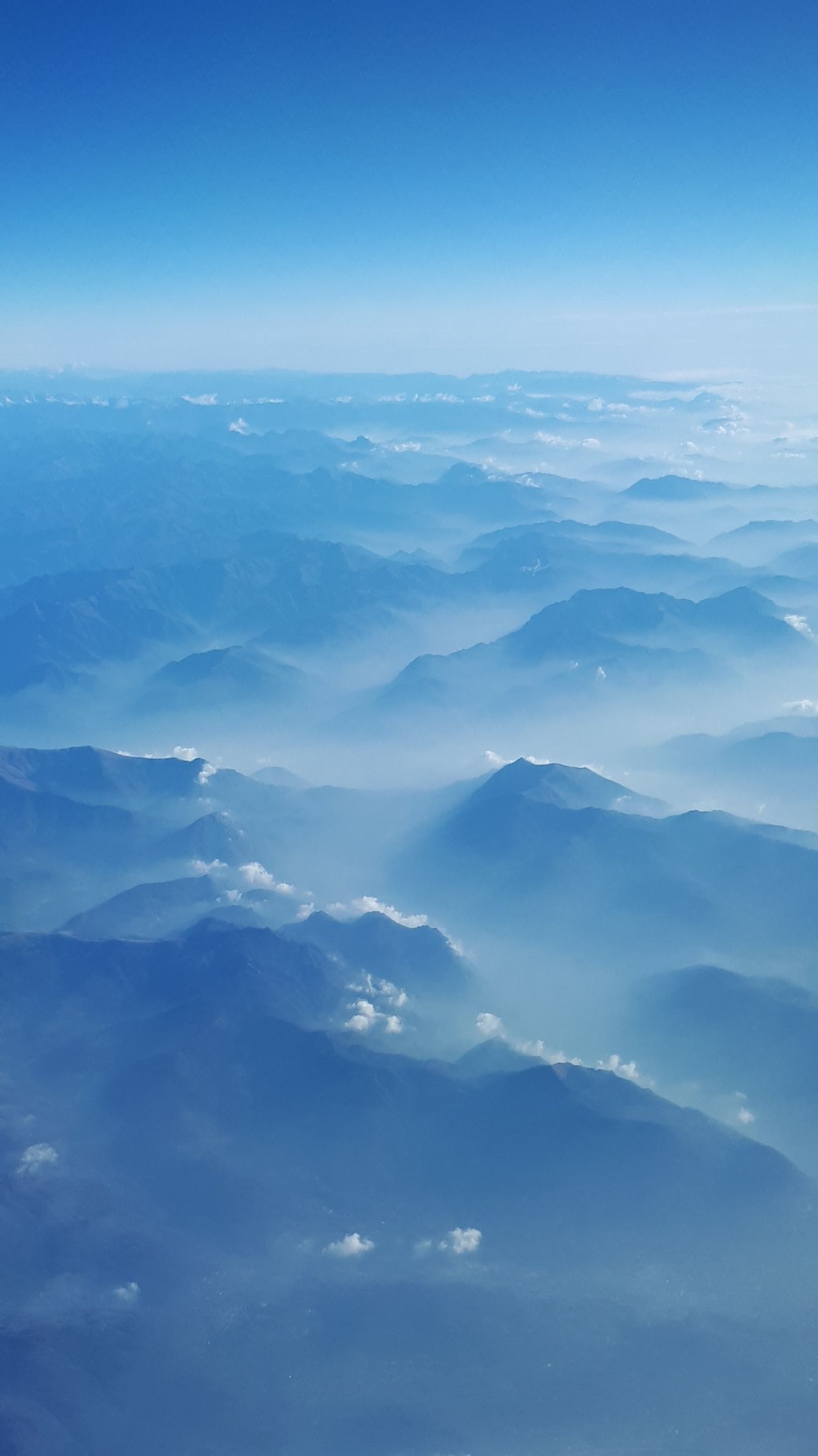 20241114_0944206218459563370908888 | Bug Woman – Adventures in London