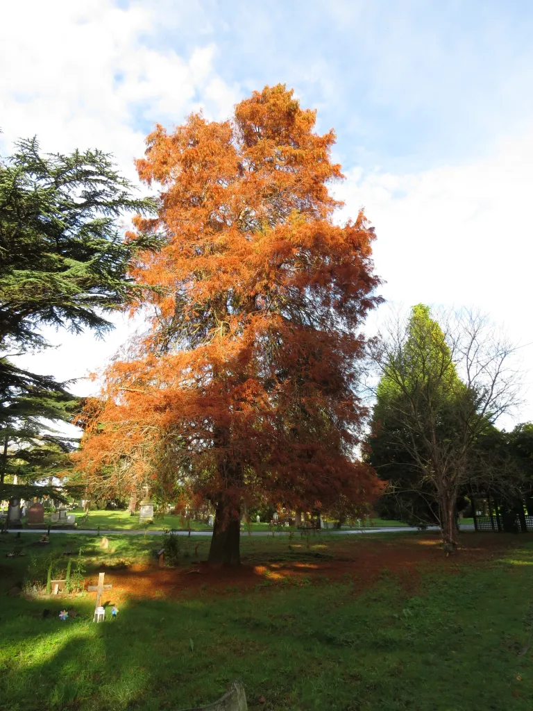 Future Proofing at Kew | Bug Woman – Adventures in London