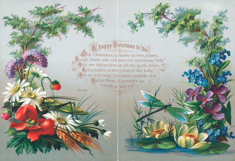 The Third Day of Christmas – Victorian Insect Christmas Cards | Bug ...